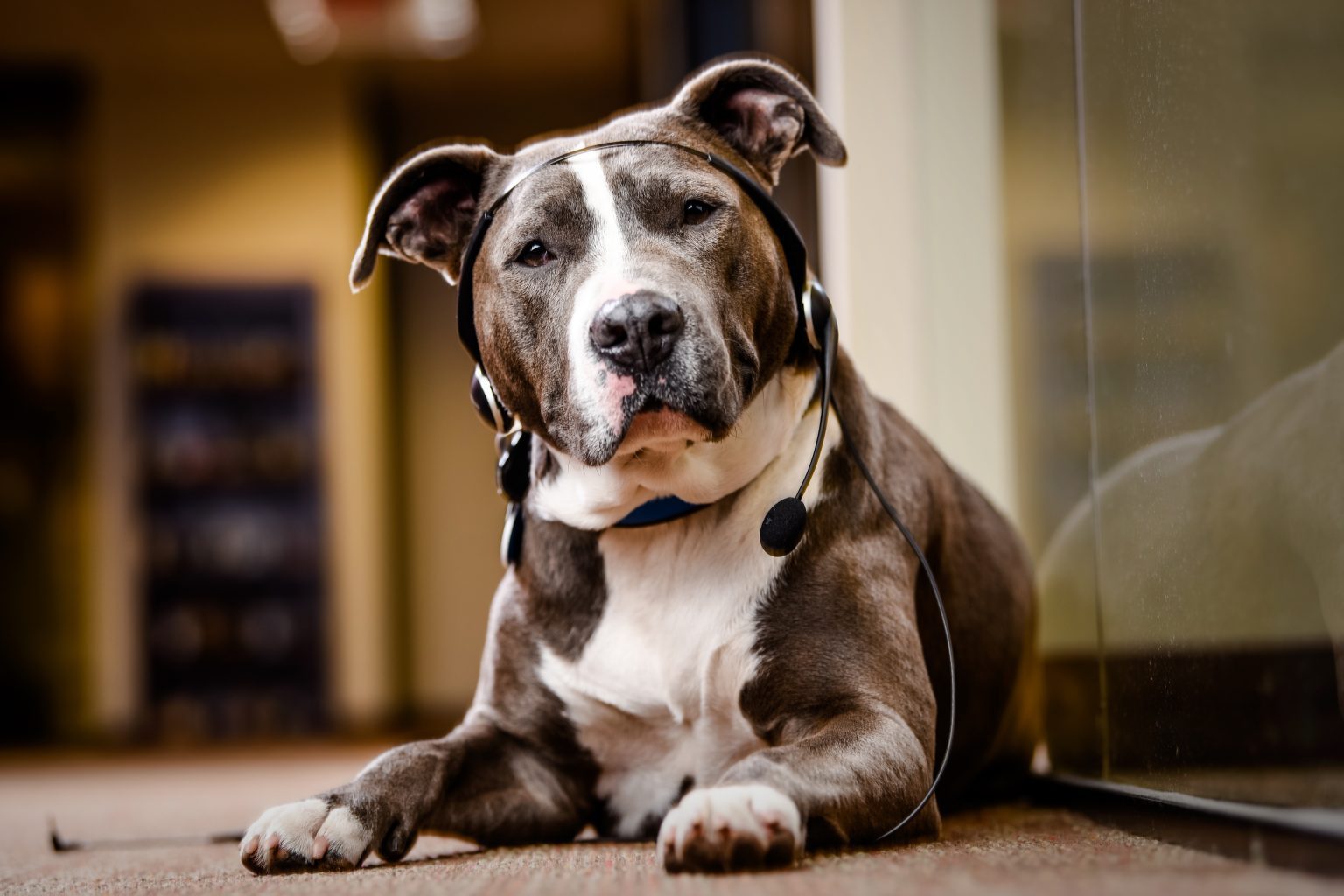 FDA updates 3500A instructions to provide direction for mandatory ...