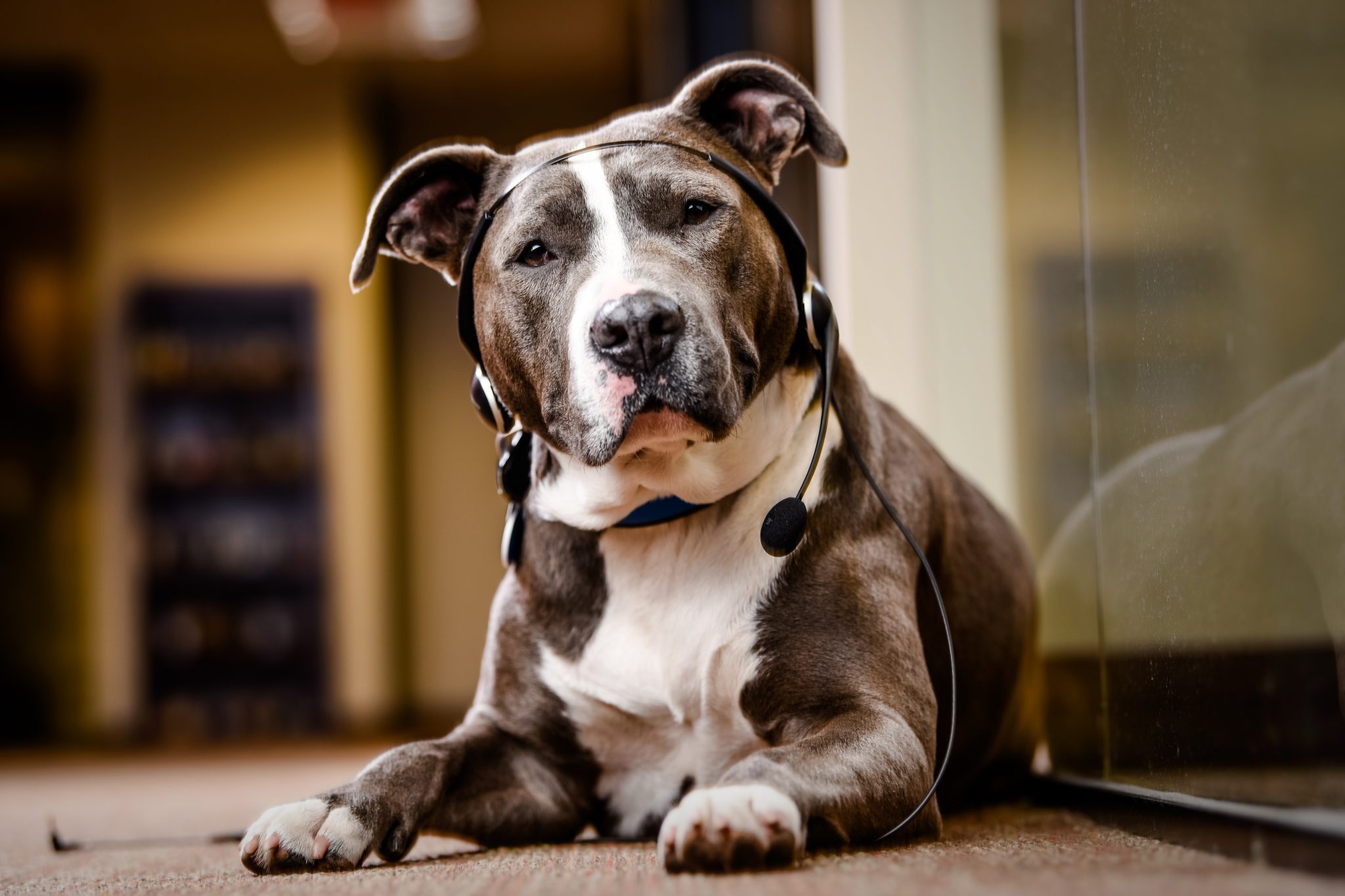 FDA updates 3500A instructions to provide direction for mandatory ...